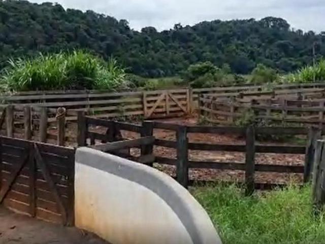 Fazenda para venda em Centro, Carmo de Minas
