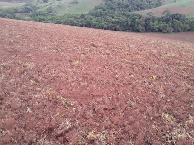 Fazenda para venda em Centro, Carmo de Minas
