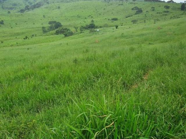 Fazenda para venda em Centro, Carmo de Minas