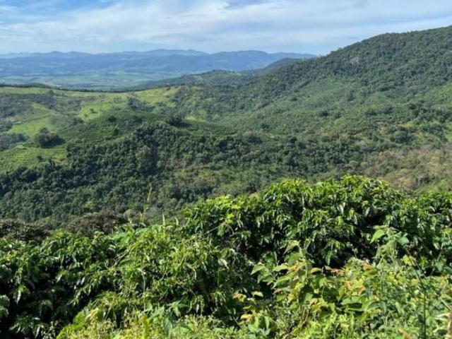 Fazenda para venda em Centro, Carmo de Minas