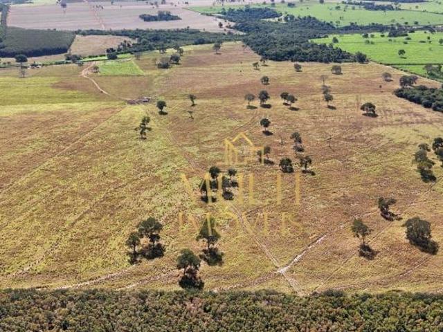 Fazenda para venda em Centro, Cardoso
