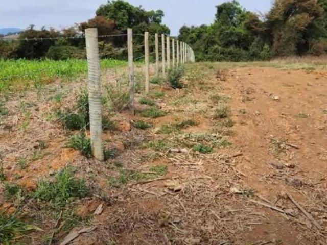 Fazenda para venda em Centro, Careaçu