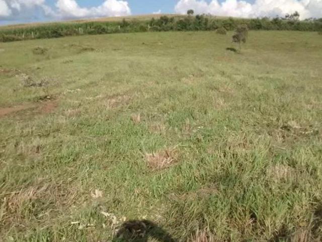 Fazenda para venda em Centro, Carrancas