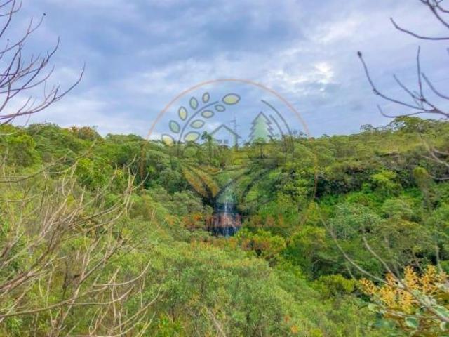 Fazenda para venda em Centro, Carrancas