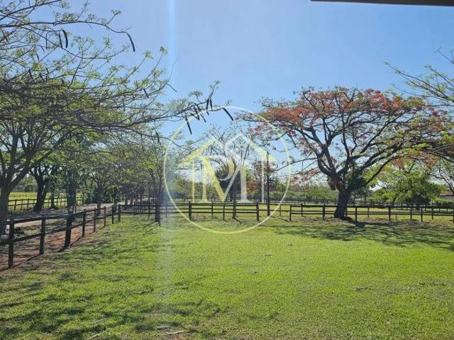 Fazenda para venda em Centro, Cesário Lange