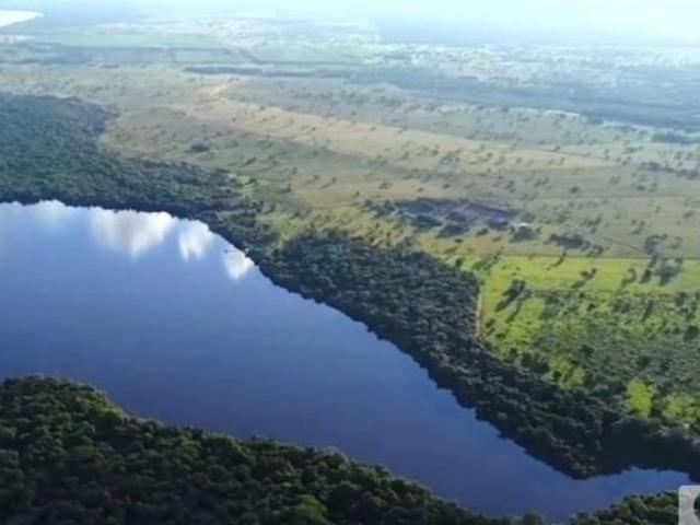 Fazenda para venda em Centro, Cocalinho