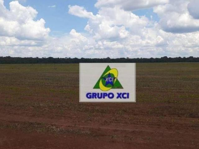 Fazenda para venda em Centro, Cocalinho