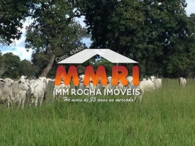 Fazenda para venda em Centro, Cocalinho