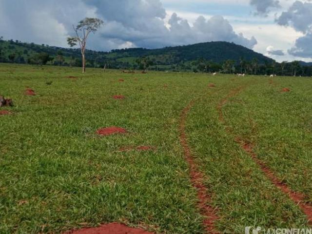 Fazenda para venda em Centro, Cocalinho