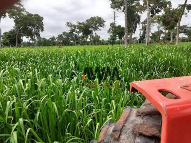 Fazenda para venda em Centro, Cocalinho