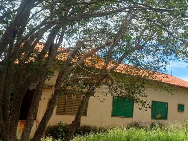 Fazenda para venda em Centro, Comendador Gomes