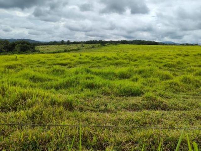 Fazenda para venda em Centro, Conceição do Pará
