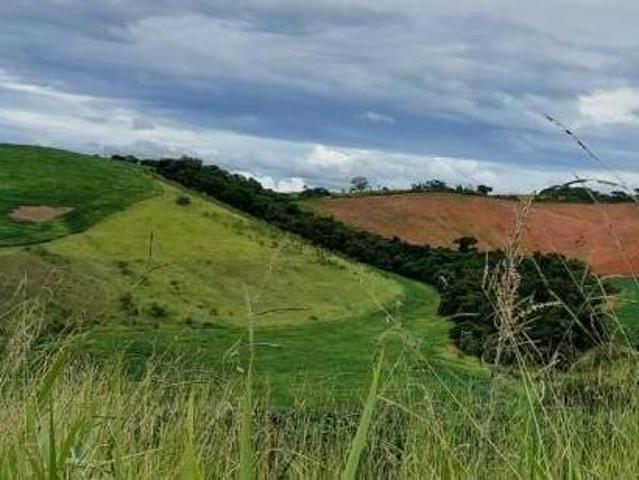 Fazenda para venda em Centro, Conceição do Rio Verde