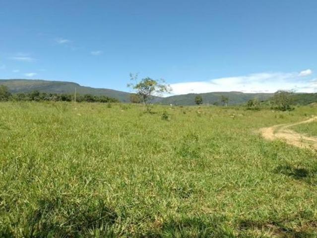 Fazenda para venda em Centro, Corinto