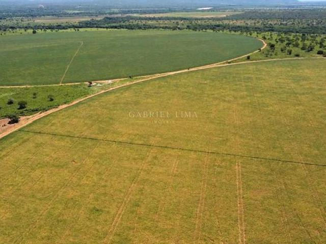 Fazenda para venda em Centro, Corinto