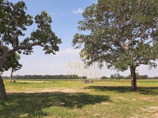 Fazenda para venda em Centro, Coxim