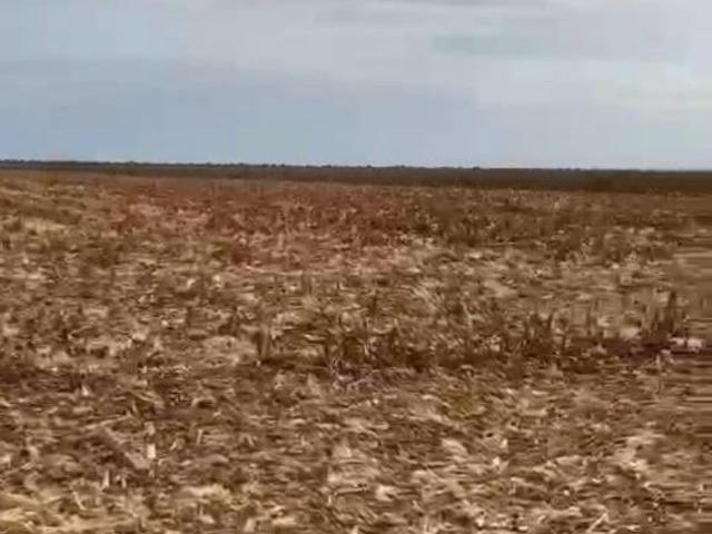 Fazenda para venda em Centro, Cristalina
