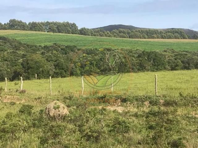 Fazenda para venda em Centro, Cruzília