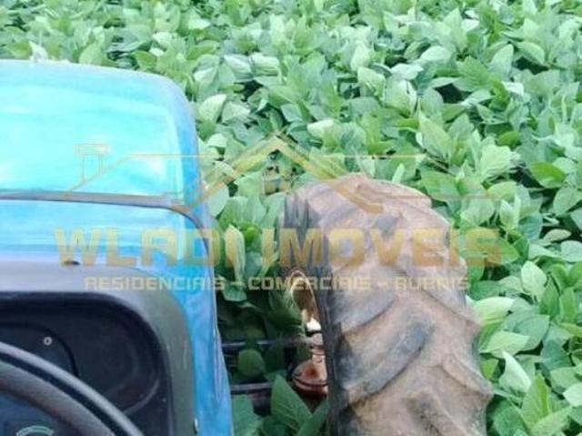 Fazenda para venda em Centro, Cruzília
