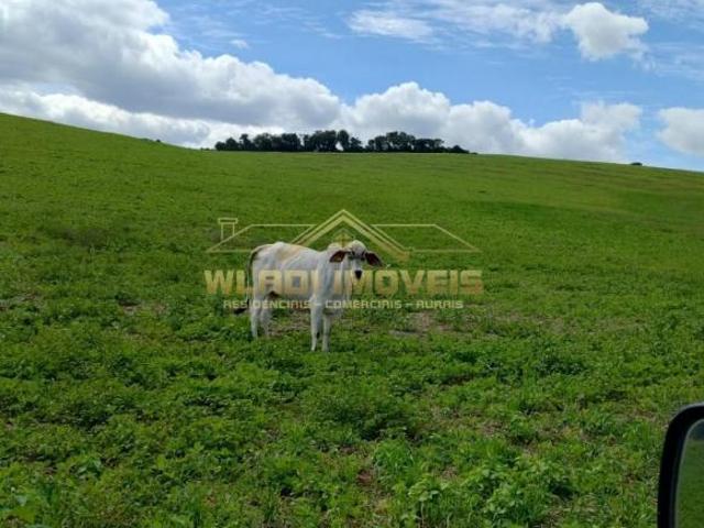 Fazenda para venda em Centro, Cruzília