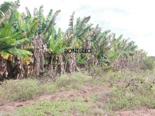 Fazenda para venda em Centro, Diamantina