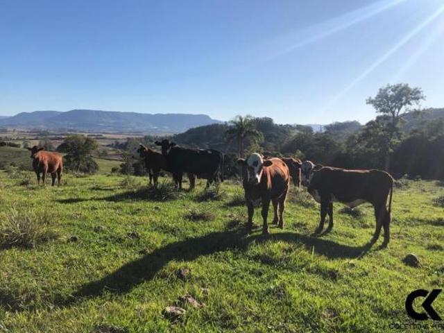 Fazenda para venda em Centro, Dona Francisca