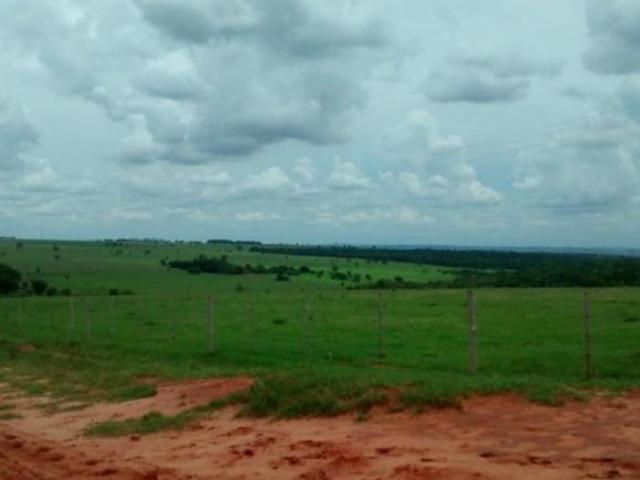 Fazenda para venda em Centro, Euclides da Cunha Paulista