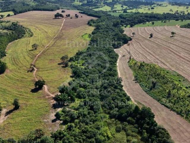 Fazenda para venda em Centro, Echaporã