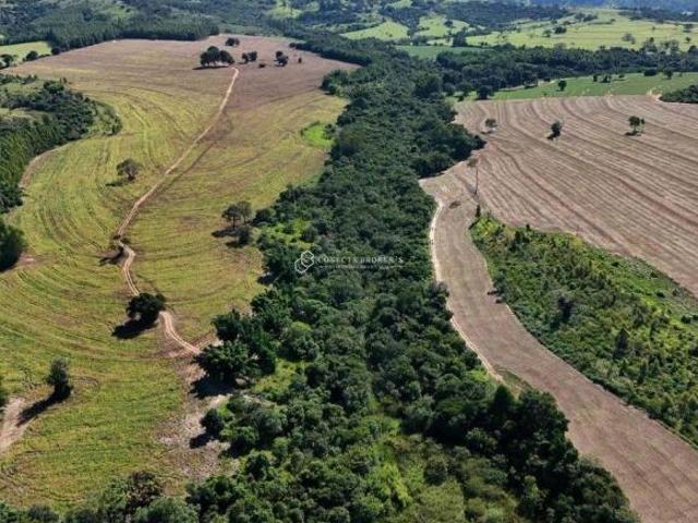 Fazenda para venda em Centro, Echaporã
