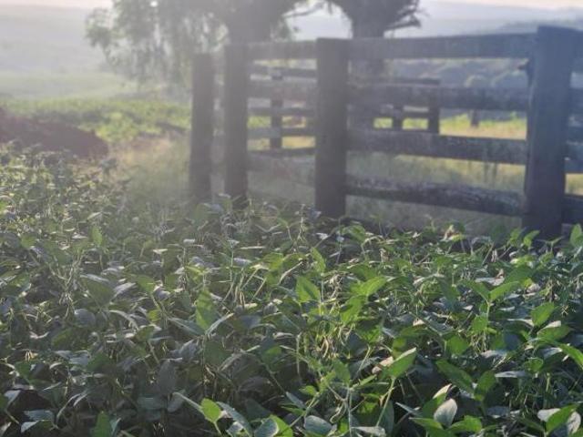 Fazenda para venda em Centro, Eldorado do Sul