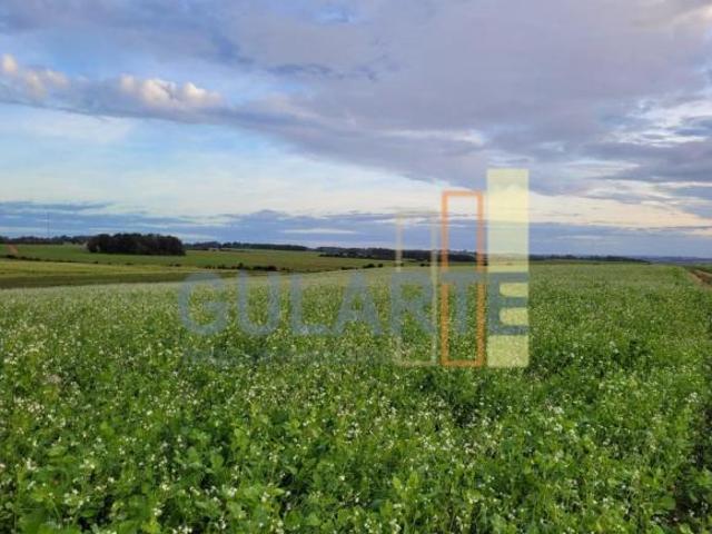 Fazenda para venda em Centro, Eldorado do Sul