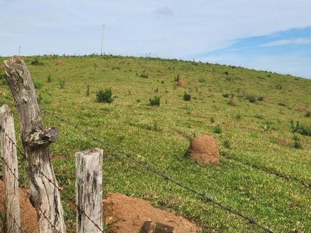 Fazenda para venda em Centro, Elói Mendes