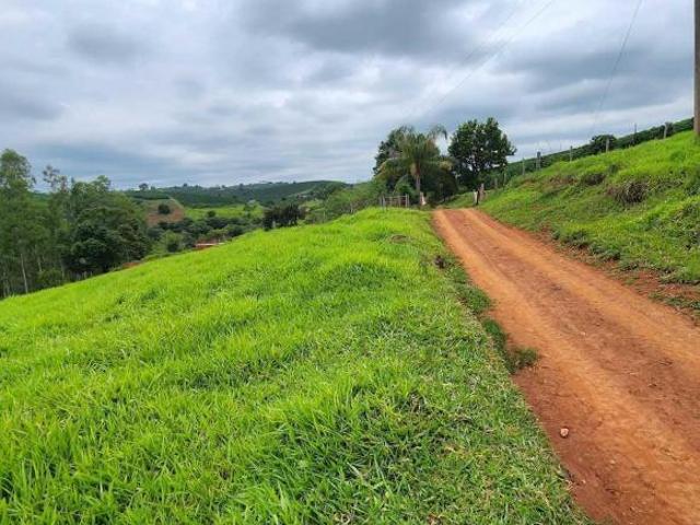 Fazenda para venda em Centro, Elói Mendes