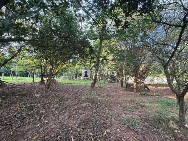 Fazenda para venda em Centro, Elói Mendes