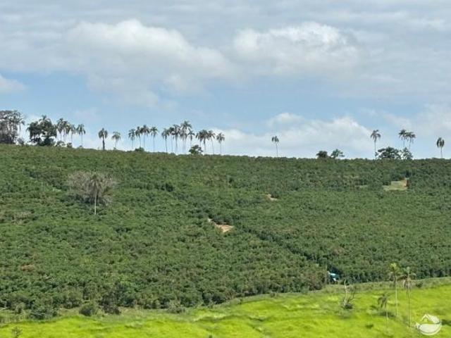 Fazenda para venda em Centro, Elói Mendes