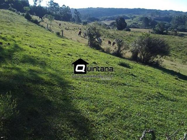Fazenda para venda em Centro, Encruzilhada do Sul