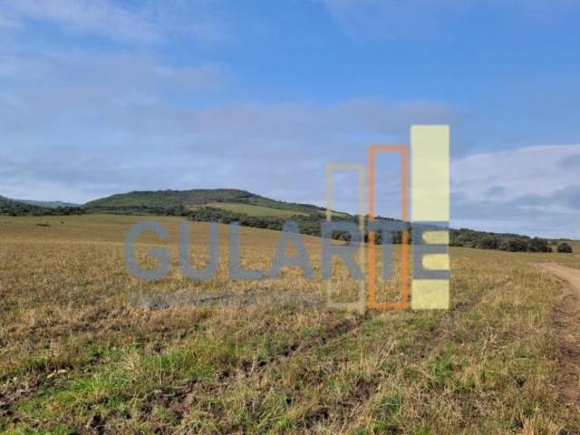 Fazenda para venda em Centro, Encruzilhada do Sul