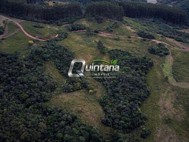 Fazenda para venda em Centro, Encruzilhada do Sul