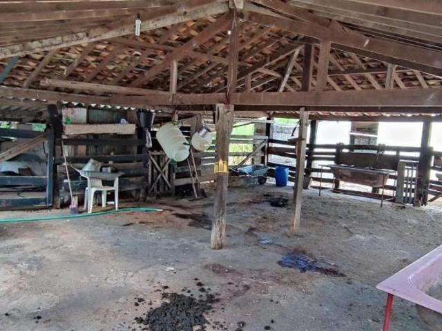 Fazenda para venda em Centro, Esmeraldas