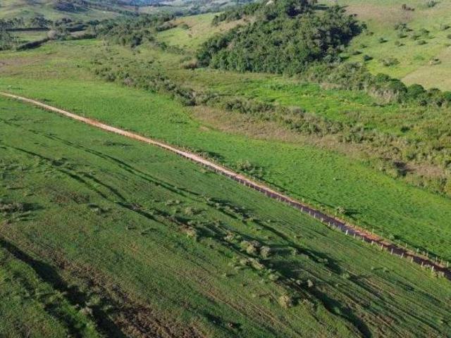 Fazenda para venda em Centro, Estiva