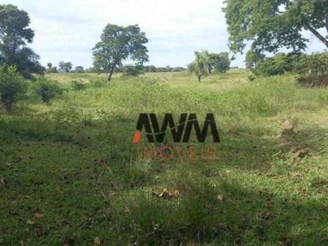 Fazenda para venda em Centro, Faina