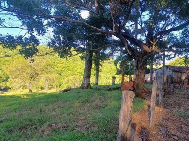 Fazenda para venda em Centro, Faxinal