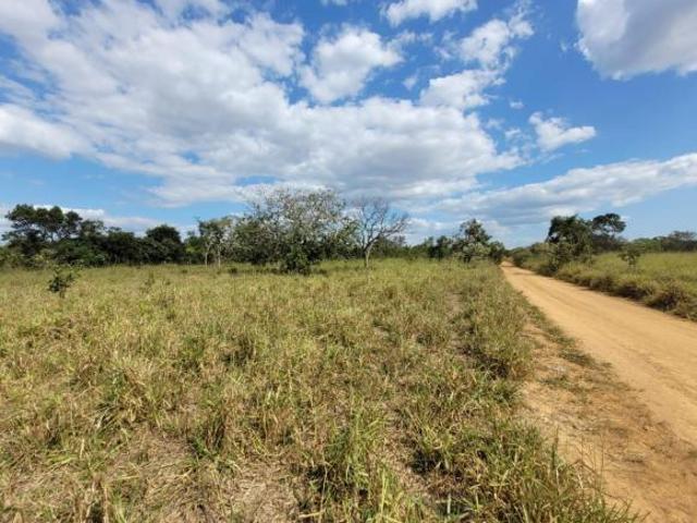 Fazenda para venda em Centro, Felixlândia