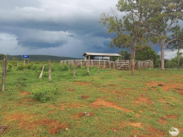 Fazenda para venda em Centro, Figueirão