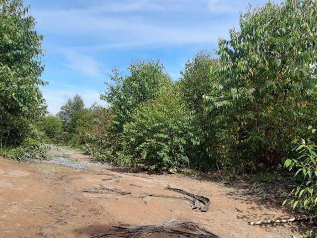 Fazenda para venda em Centro, Formiga