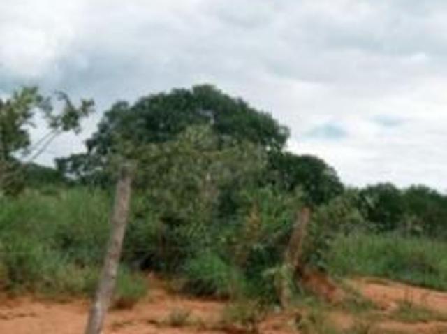 Fazenda para venda em Centro, Formoso