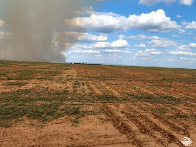 Fazenda para venda em Centro, Formoso