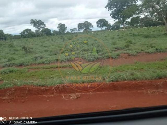 Fazenda para venda em Centro, Formosa