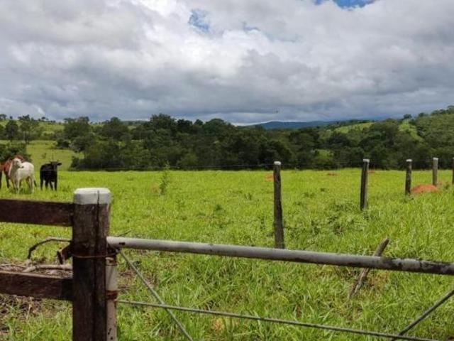 Fazenda para venda em Centro, Formosa
