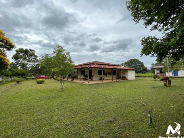 Fazenda para venda em Centro, Formosa